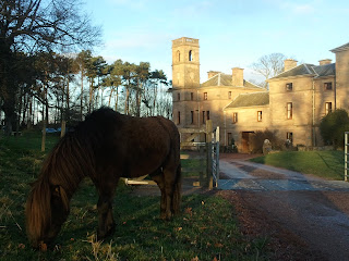 Fit Fun Foodie : Adventures in Europe!: WWOOFing at Cambo Estate