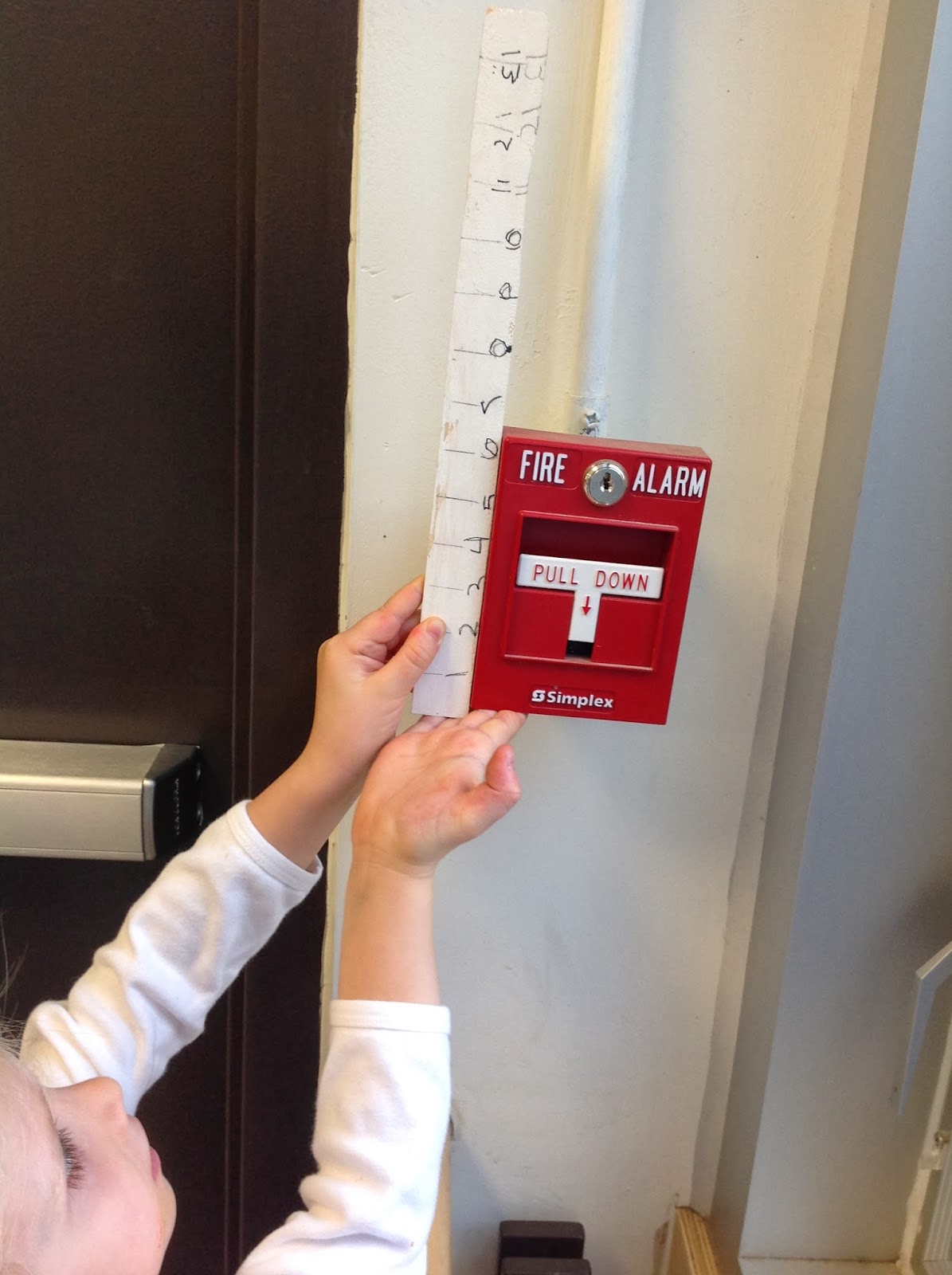 Wonders in Kindergarten: Measuring Sticks!