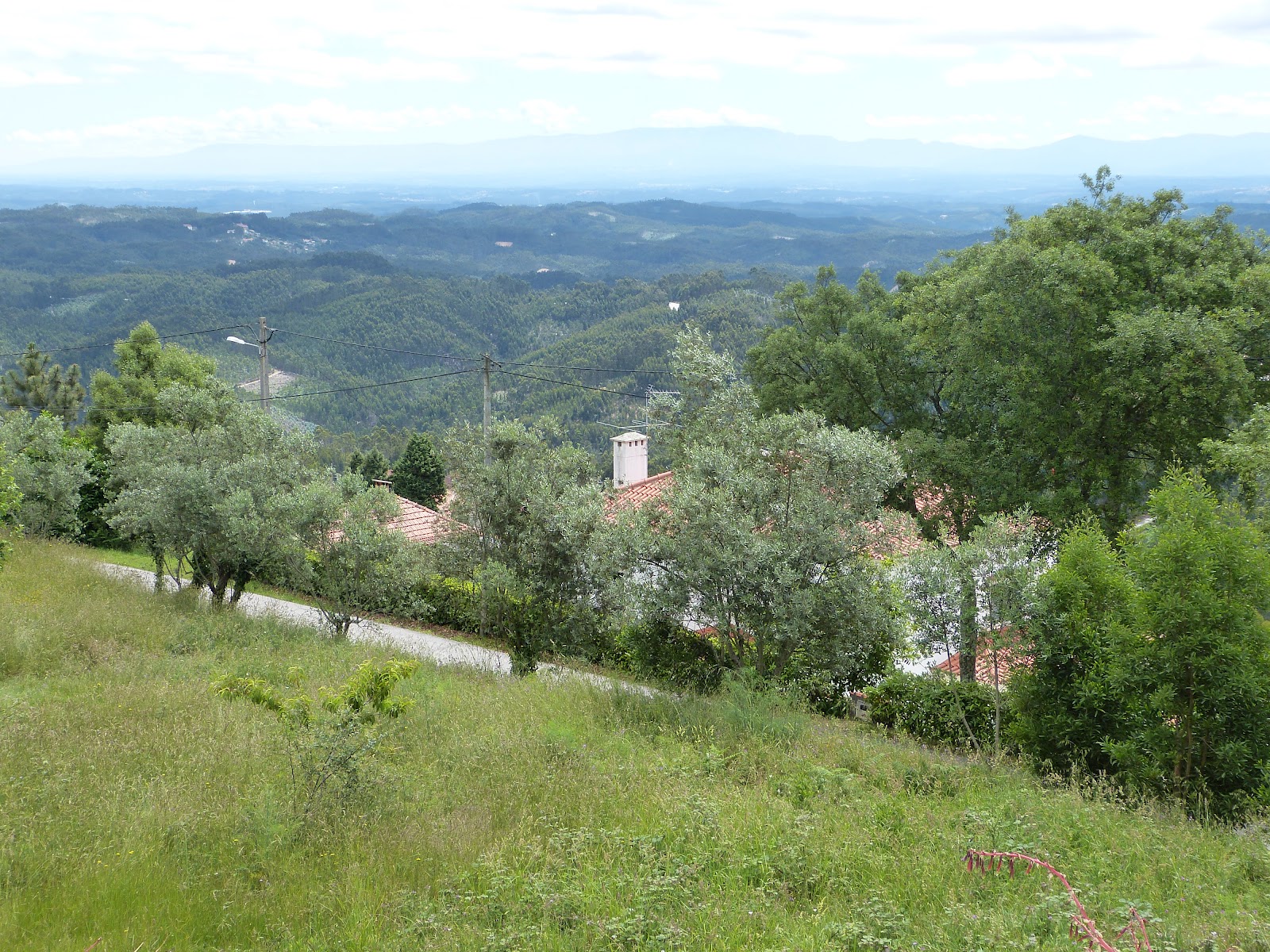 Carpe Diem: The Battlefield of Busaco