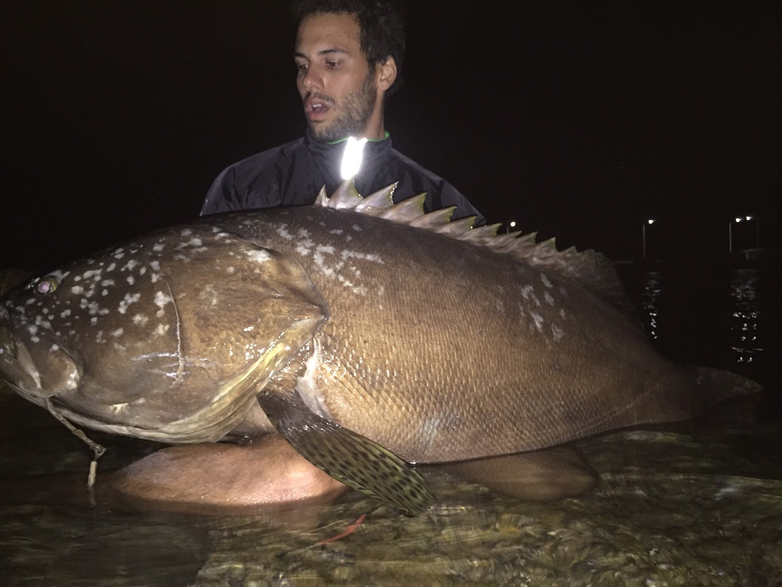 El Señor de los Robalos: mero gigante desde las piedras