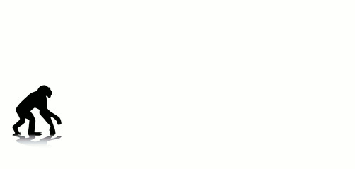 Gif De Evolucao De Agumon