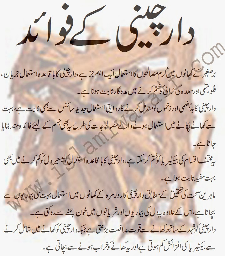 Daar Cheeni Ke Fawaid IslamiWazaif daar-cheeni-ke-fawaid-islamiwazaif