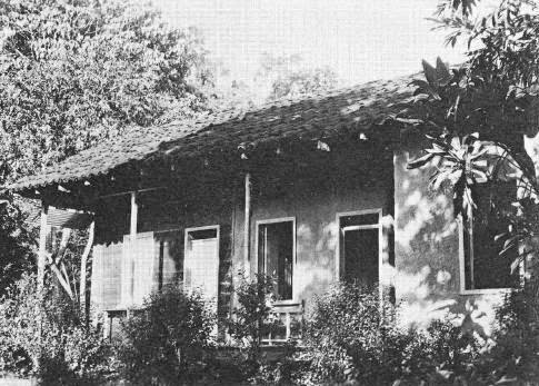 HISTORIAS ZOOLOGICAS: EL MACAGUÁ O GUACO (Herpetotheres cachinnans ...