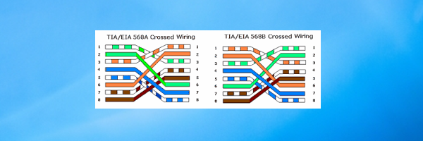 Kabel UTP Dan Fungsinya | Teknik Komputer Jaringan