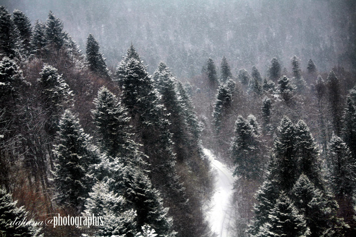 Photographis: Winter in March