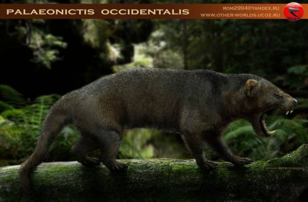 Escenarios prehistóricos: Palaeonictis