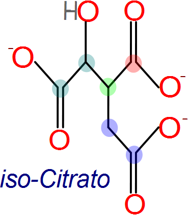 Ciencias de Joseleg: Citrato a isocitrato, ciclo de Krebs, reacción 2