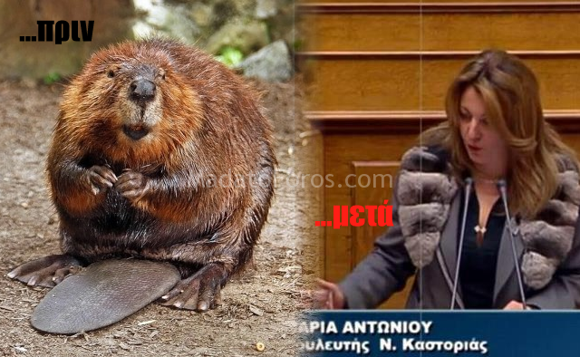 ΜΗ ΧΑΣΕΤΕ ΤΗ ΝΕΑ ΑΦΙΞΗ ΣΤΟ ΠΑΝΘΕΟΝ ΤΗΣ Μ@ΛΑΚΙΑΣ ΚΑΙ ΤΗΣ ΑΘΛΙΟΤΗΤΑΣ! ΤΟ ...