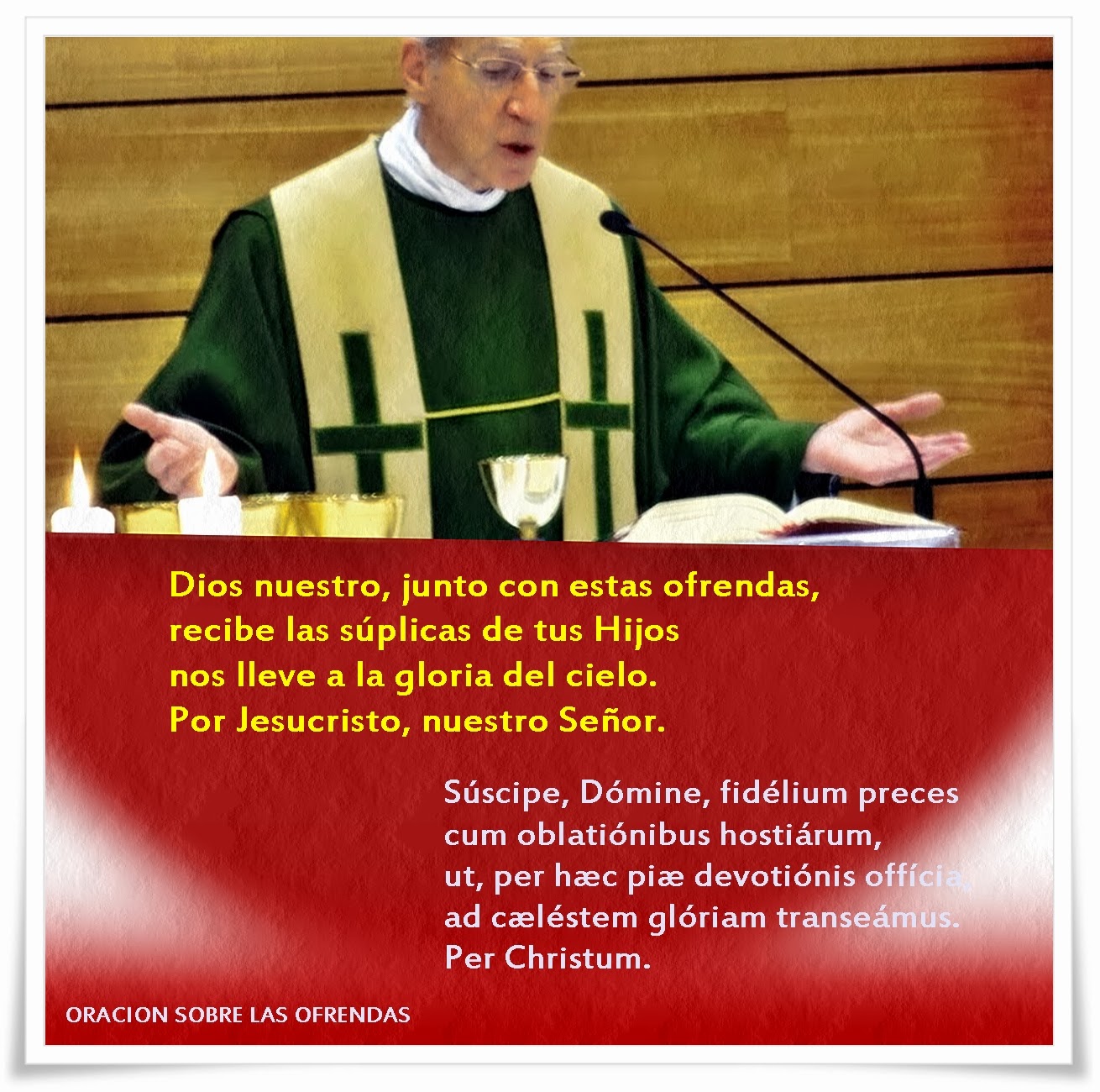 Capturador de Imágenes de Bellavista: VIGESIMOCTAVO DOMINGO DEL TIEMPO ...