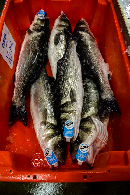 Through the Gaps! - Newlyn Fishing News: Monday morning's market in ...