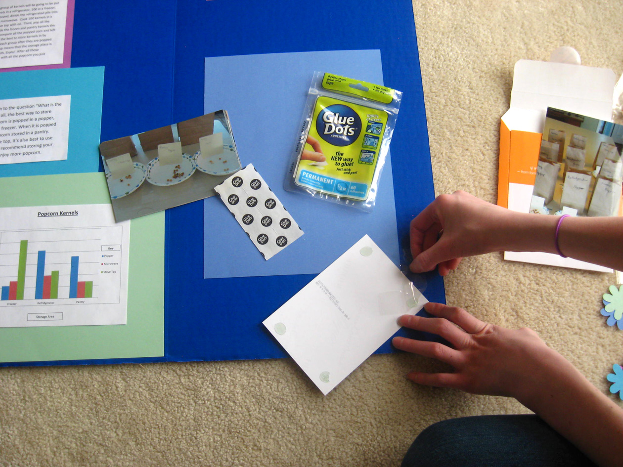 Sunnyside Up: Science Fair Time!!