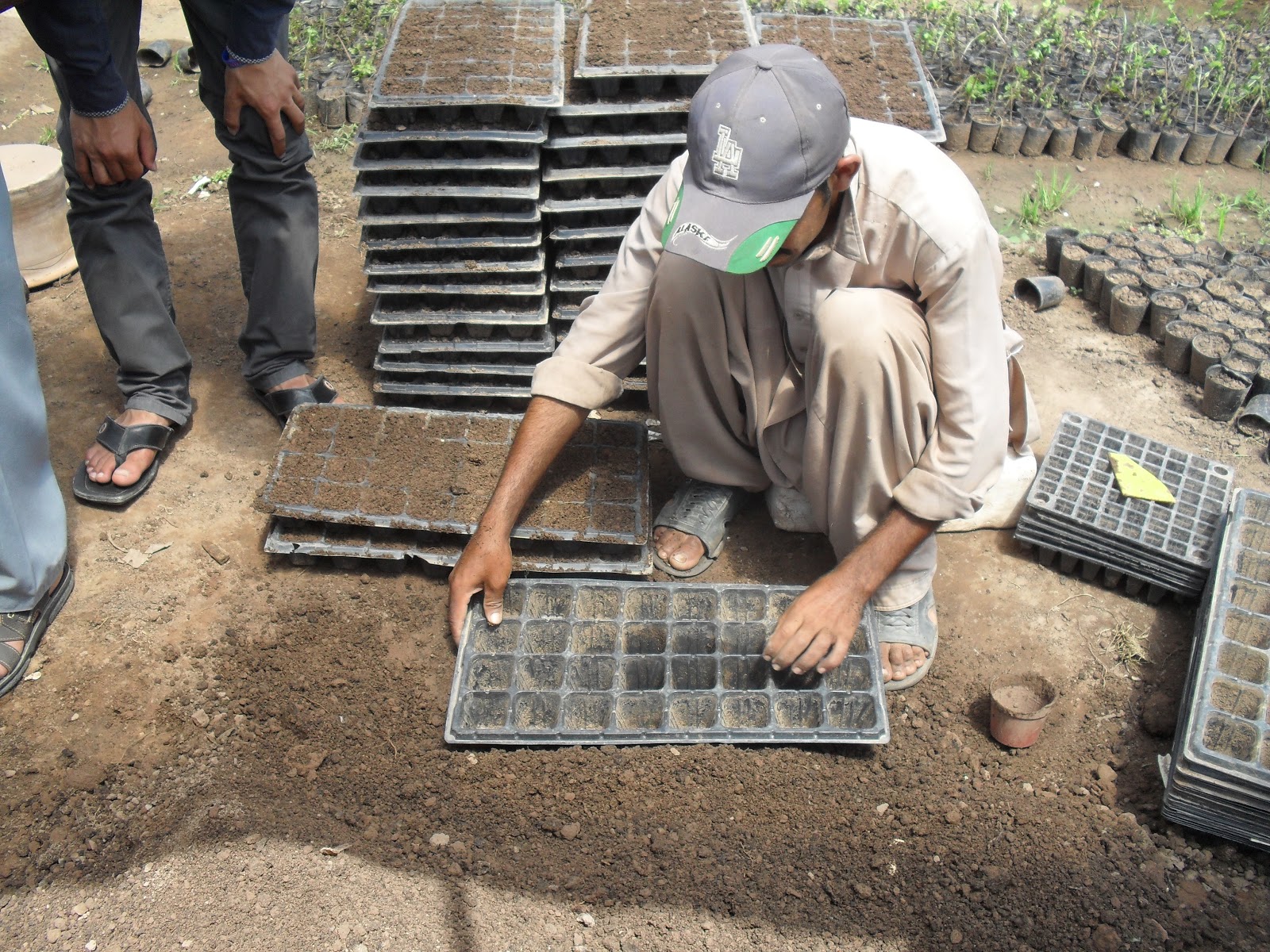 Media preparation,Characteristics of a good media - General Agriculture