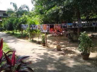 Burma Dhamma: Photos of Dhamma Joti preparations