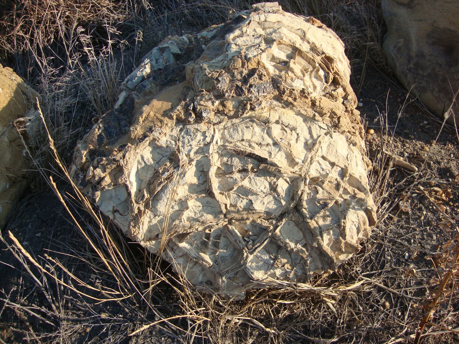 CSMS GEOLOGY POST: HEAD OUT ON TO THE HIGHWAY: KANSAS, COLORADO, BLACK ...