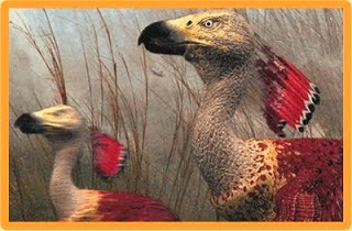 Far Future Horizons : The Future Is Wild –Episode Four Prairies of Amazonia