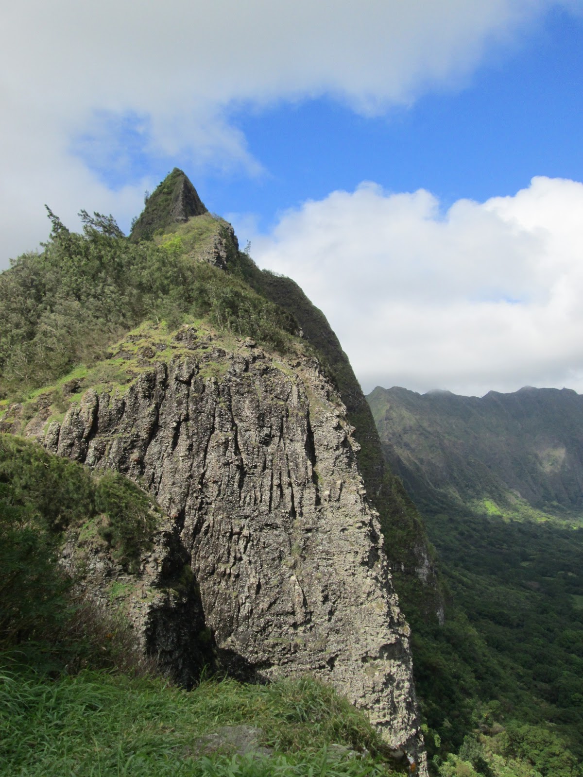 Aloha On My Mind: Aloha to the Pali Outlook and Kapena Falls