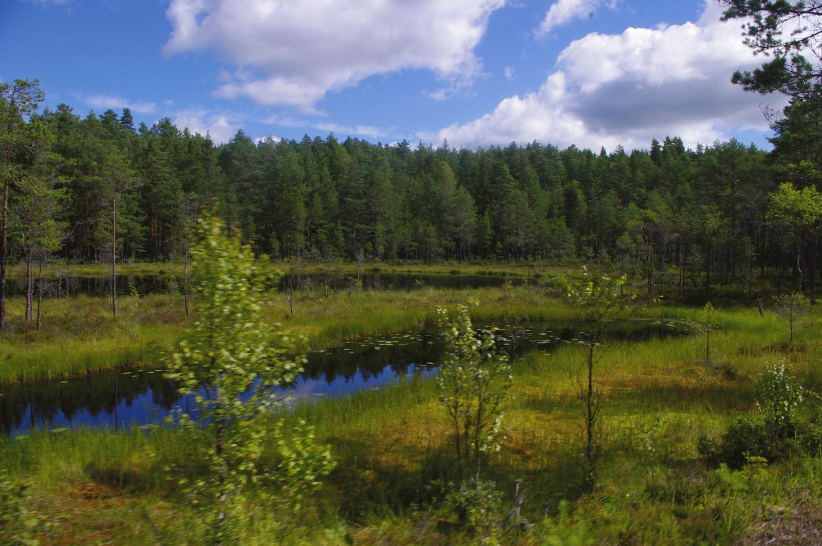 Mormorsfint: Om du vill se sjöar, skog och vackra vyer. Ta en tur med ...