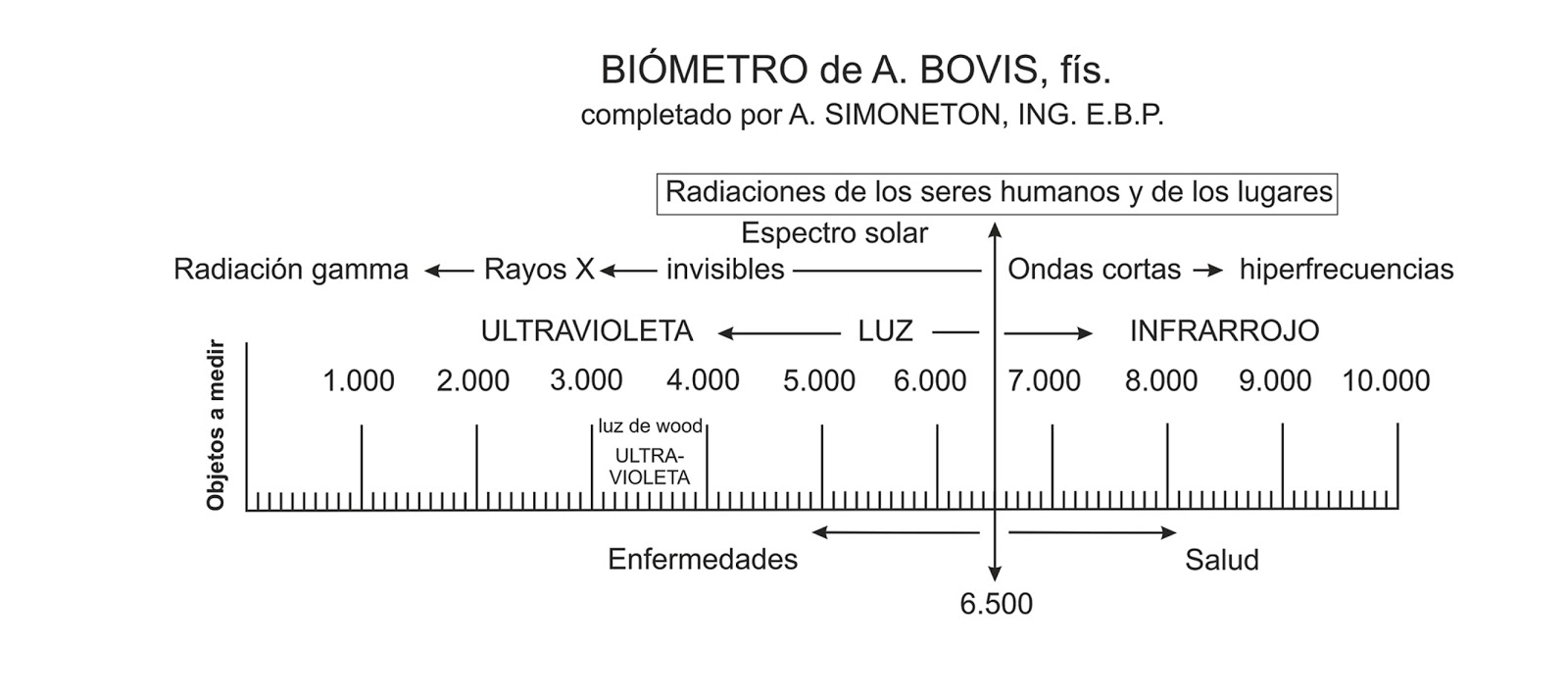 Reikiestesiónica y brujerías: Biómetro de Bovis
