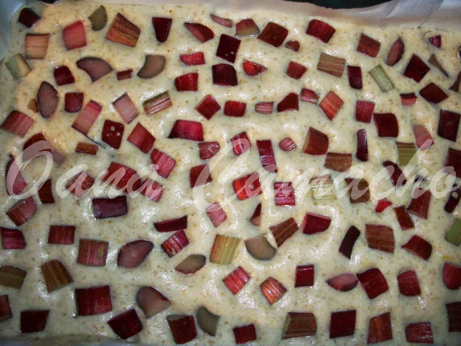 Cooking with love ! : PANDISPAN CU RUBARBA ( RHUBARB SPONGE CAKE )