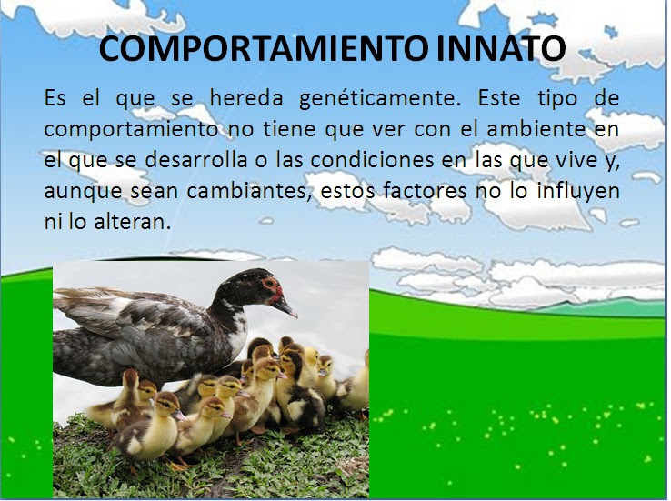 Con Ciencia para la Vida: COMPORTAMIENTO ANIMAL....CLAUDIA