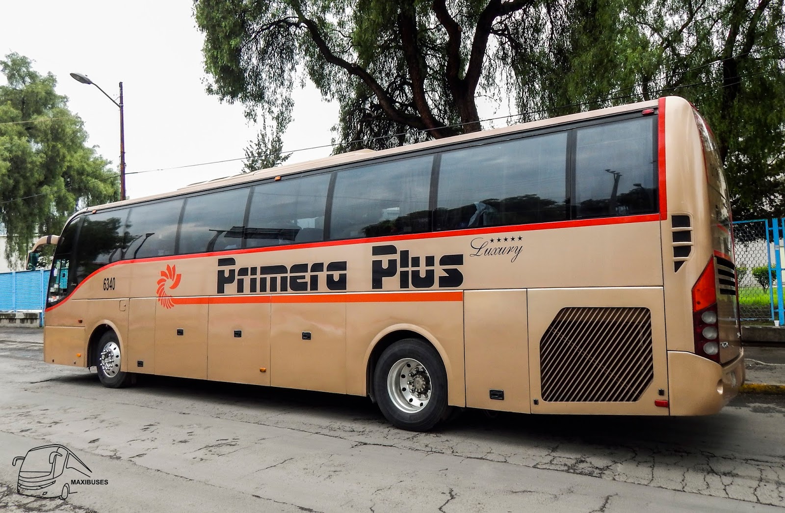 MAXIBUSES: PRIMERA PLUS