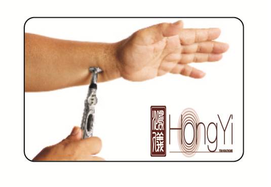 HongYi TCM Healthcare Pte Ltd: HongYi Meridian Pen