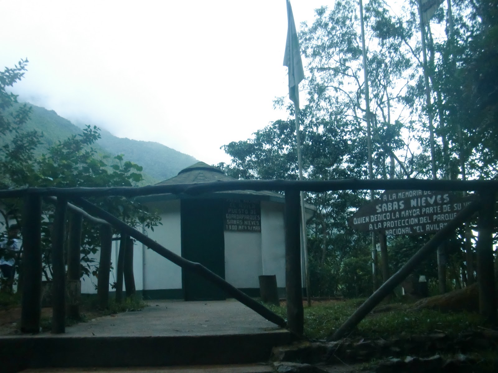 El ÁVILA: Sabas Nieves