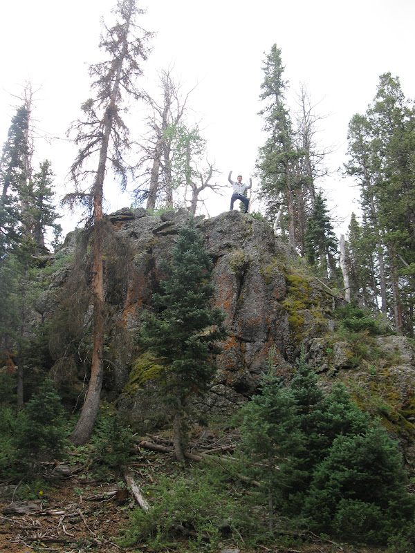 The Utley Family....