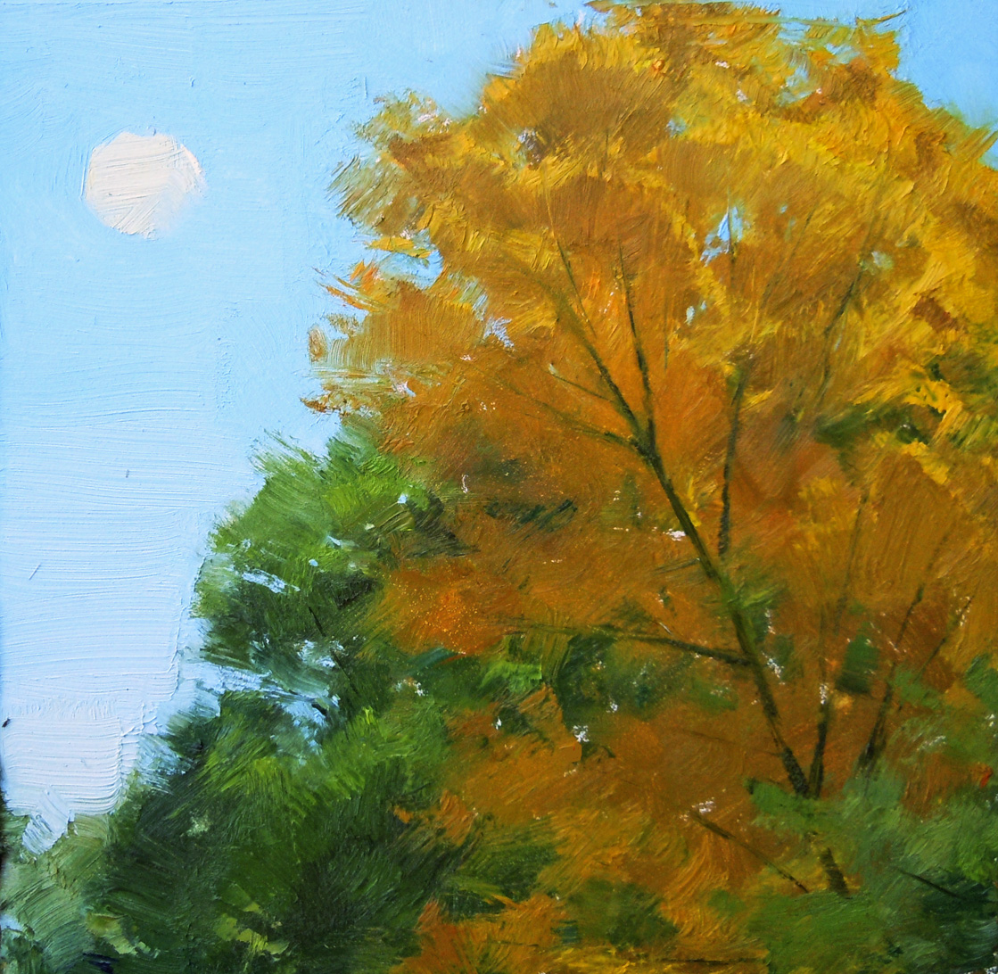 Kevin Menck Fine Art