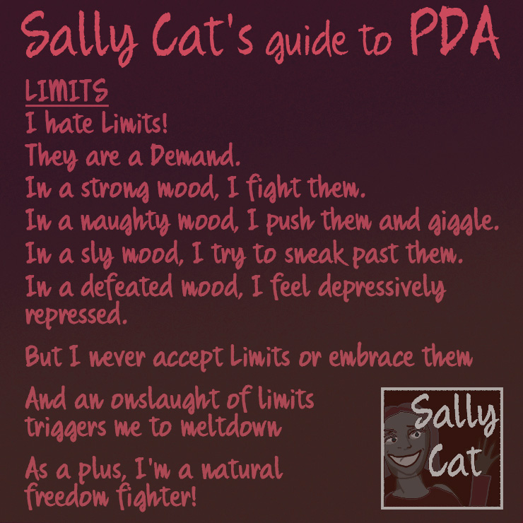 Sally Cat PDA: Memes About Demand Avoidance
