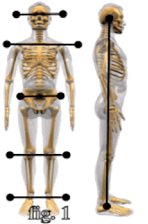 ARIZONA ORTHOPEDIC PHYSICAL THERAPY: What is Good Posture?