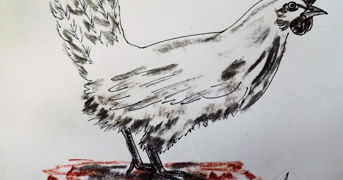 A Pretty Talent Blog: How to draw: A Chicken