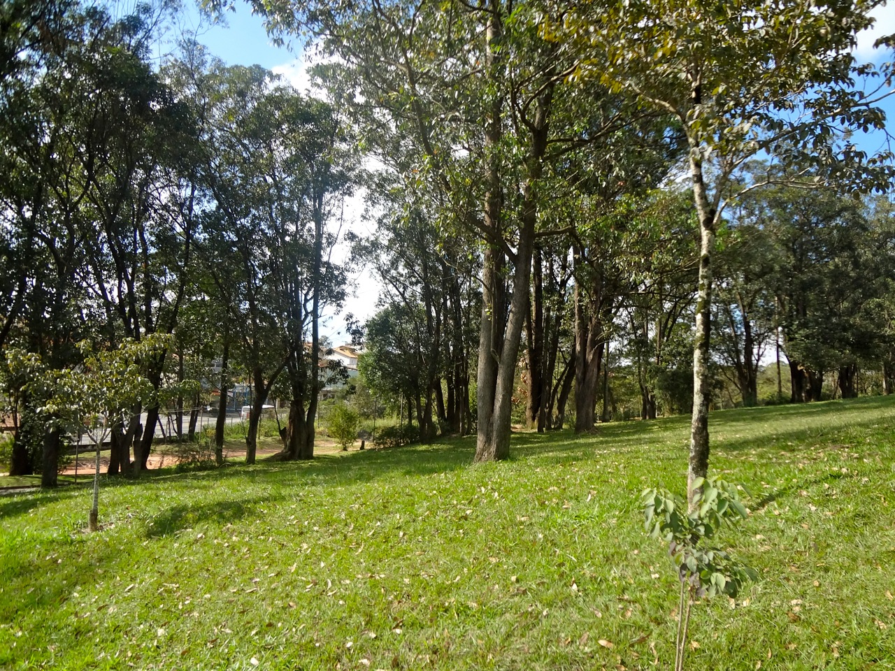 Parque do Carmo - Olavo Egydio Setúbal em São Paulo ~ Áreas Verdes das ...