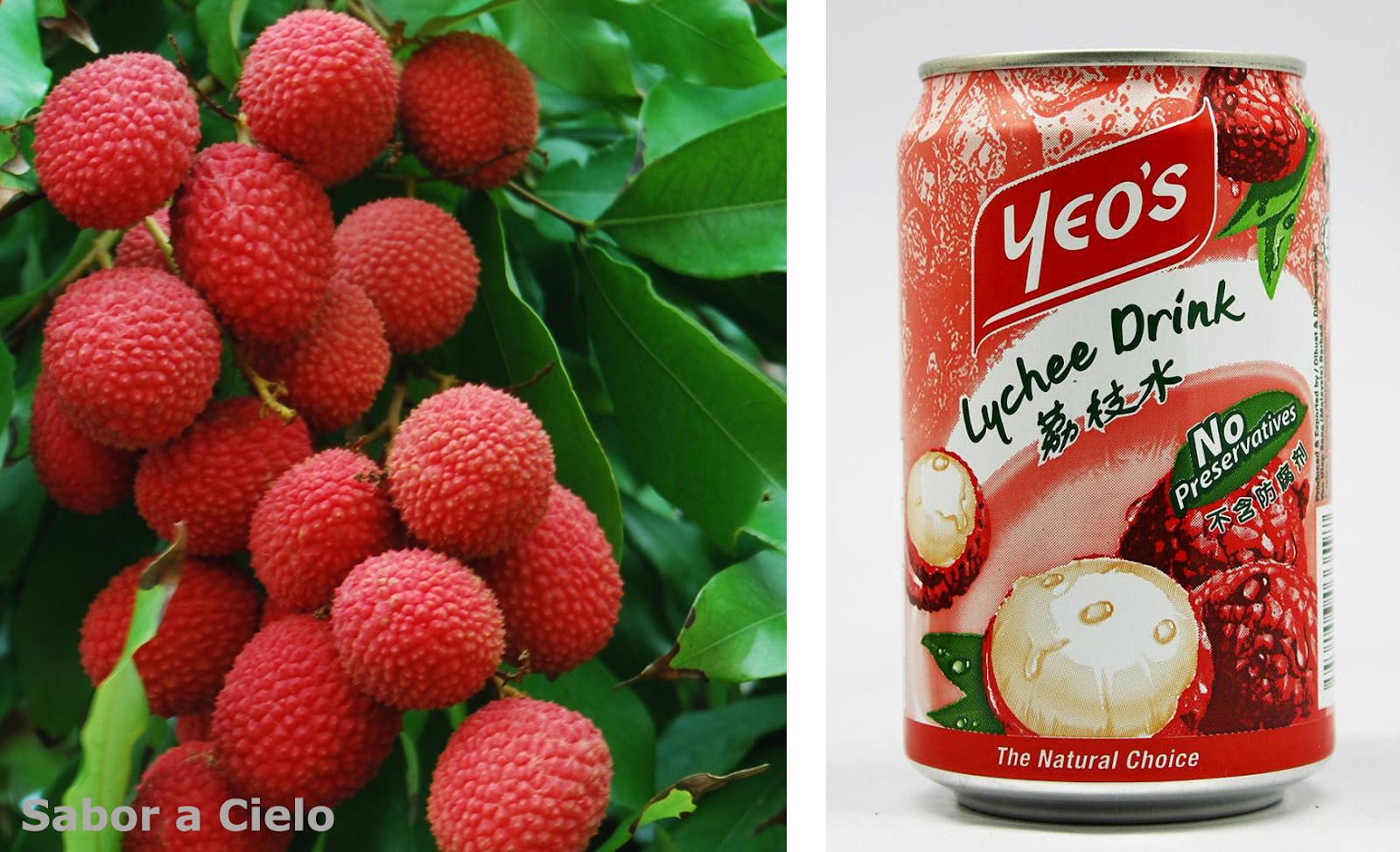 Sabor a Cielo: ¿Conoces el Lychee?