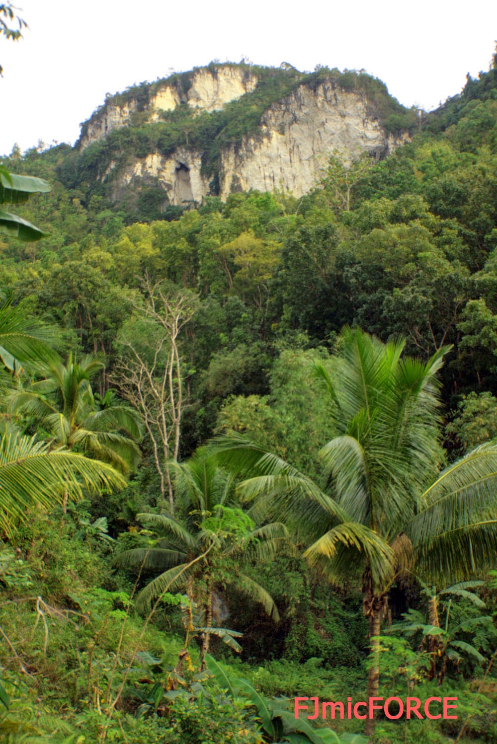 Welcome to Lamac Bayan ng Pinamungahan, Cebu - Public Communication