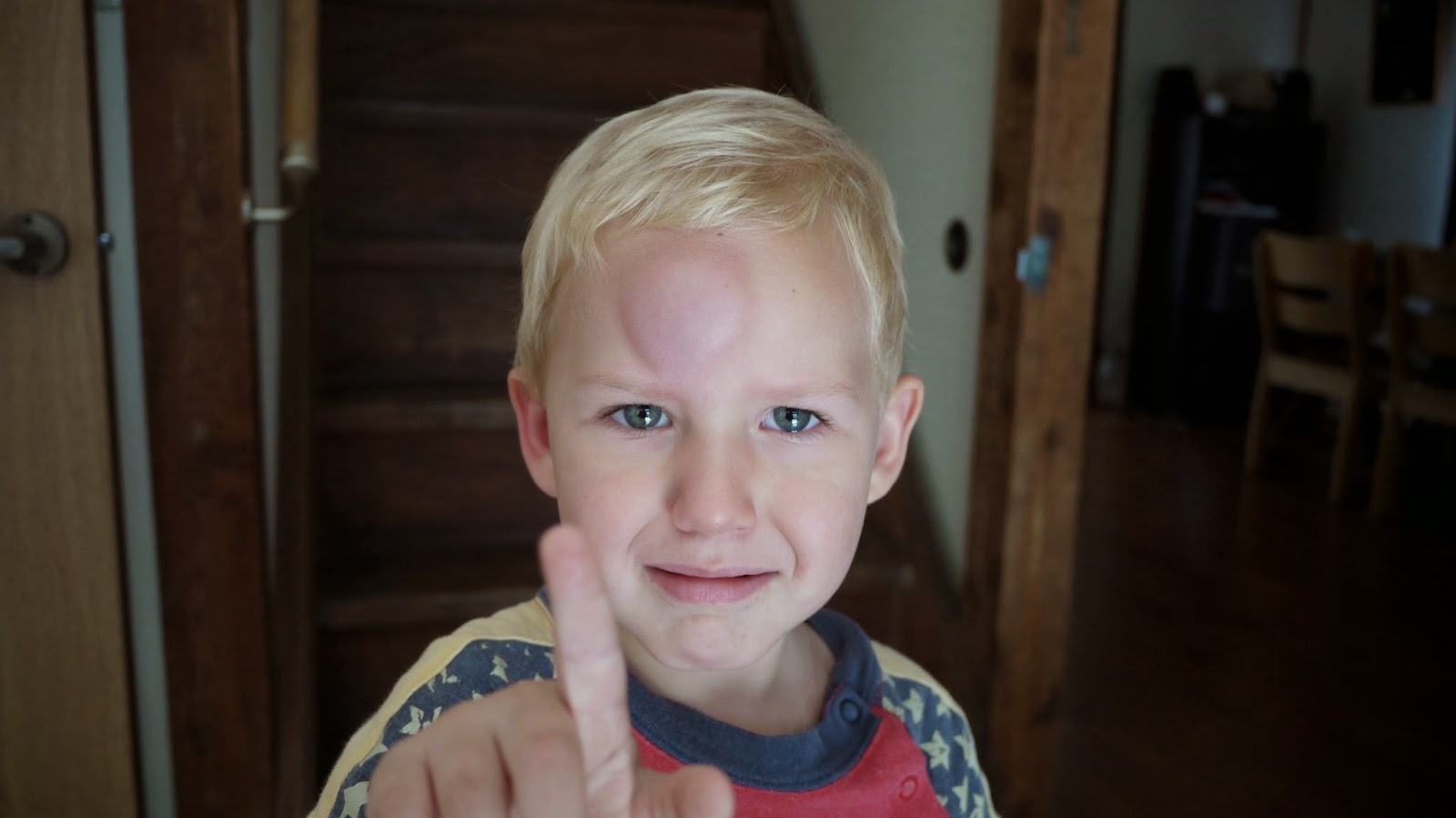 Life in the Land of Wa: Hard Knocks