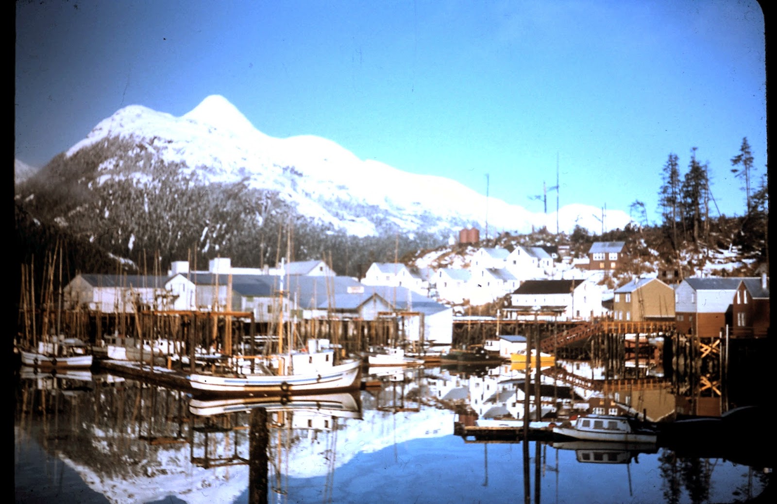 AnnaLee Conti: How Alaska Inspires My Writing