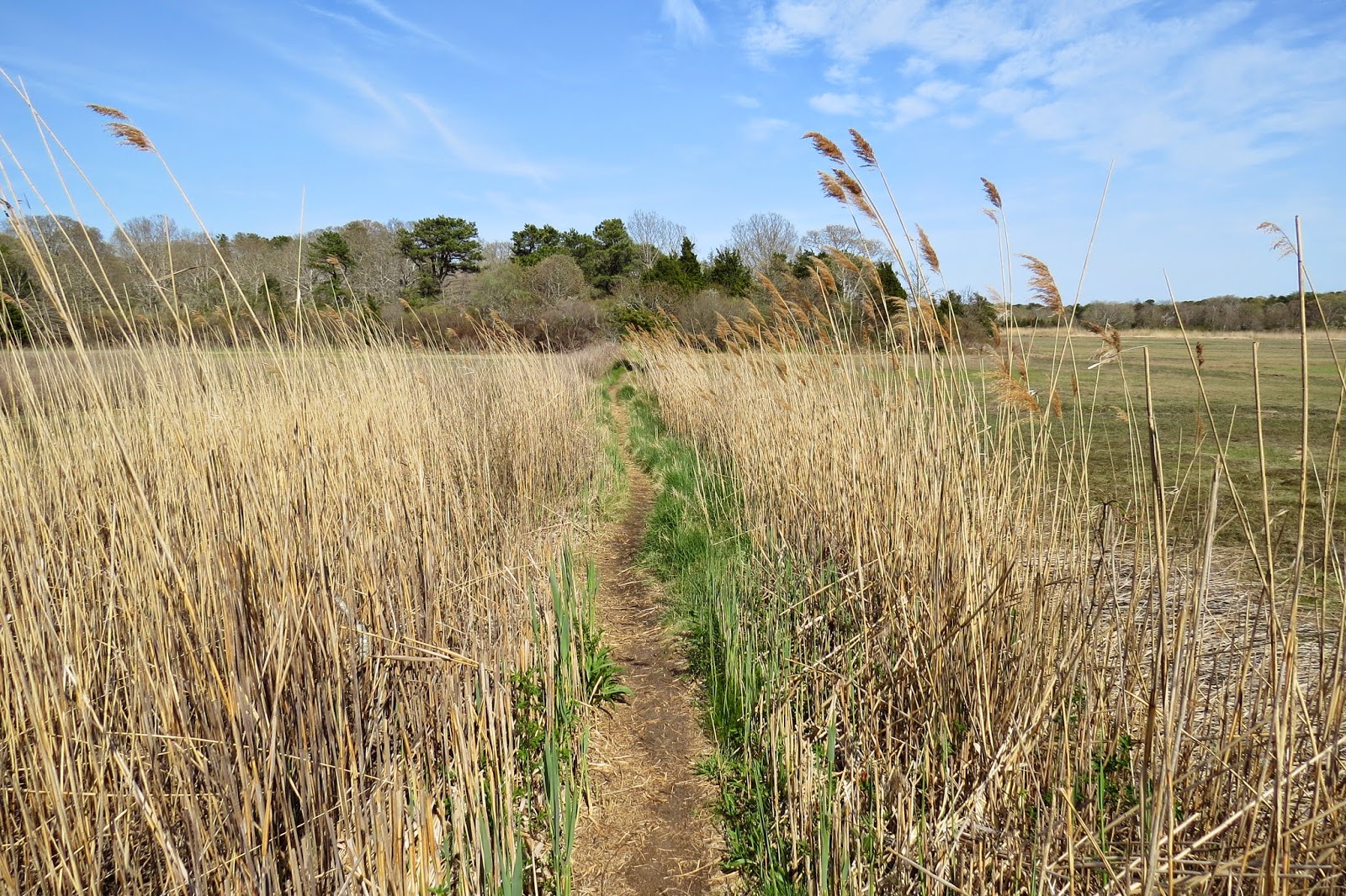 Cape Cod Retiree: Common Contradictions