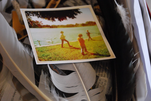 mamascout: nature swap