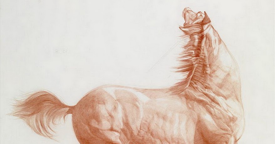 El arte es su máxima expresión : Caballos En Sanguina Y Lápiz Conté ...