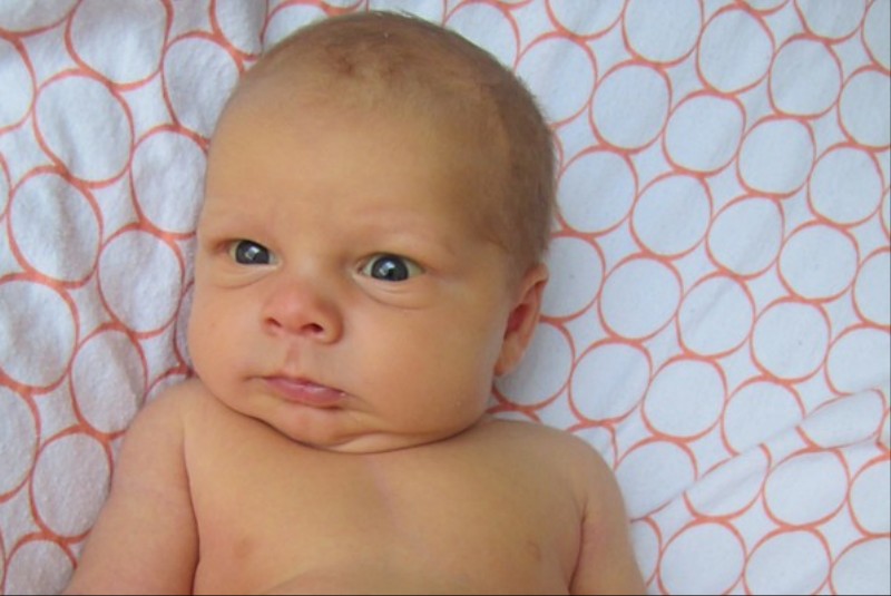 The Dowells Dax A Doodle Is 3 Weeks the-dowells-dax-a-doodle-is-3-weeks