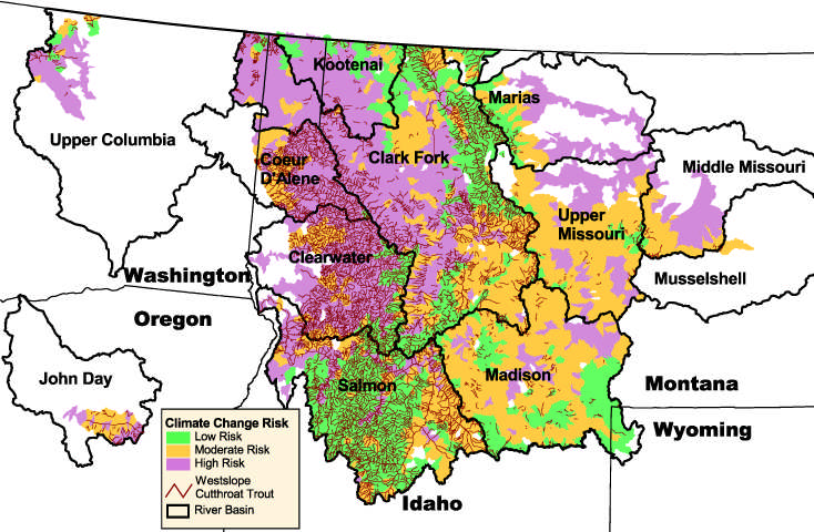 Idaho Nature Notes: Where have all the trout gone?
