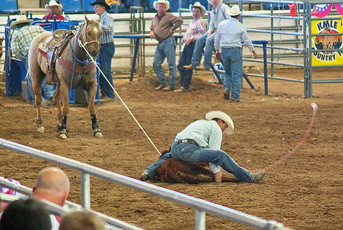 Everything English!: All About Rodeos