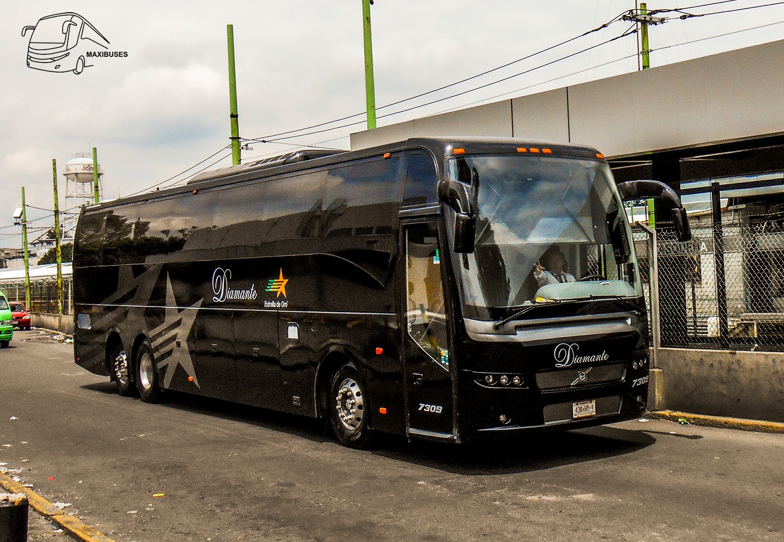 MAXIBUSES: ESTRELLA DE ORO DIAMANTE