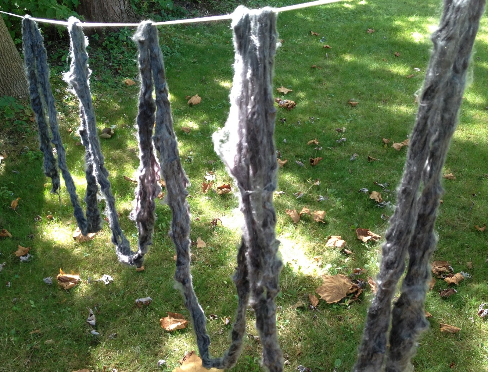 The Inconsequential Blogger: Dyeing with Hopi black sunflower seeds