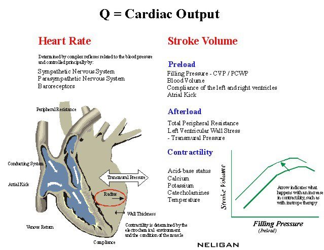 Cardiac Output