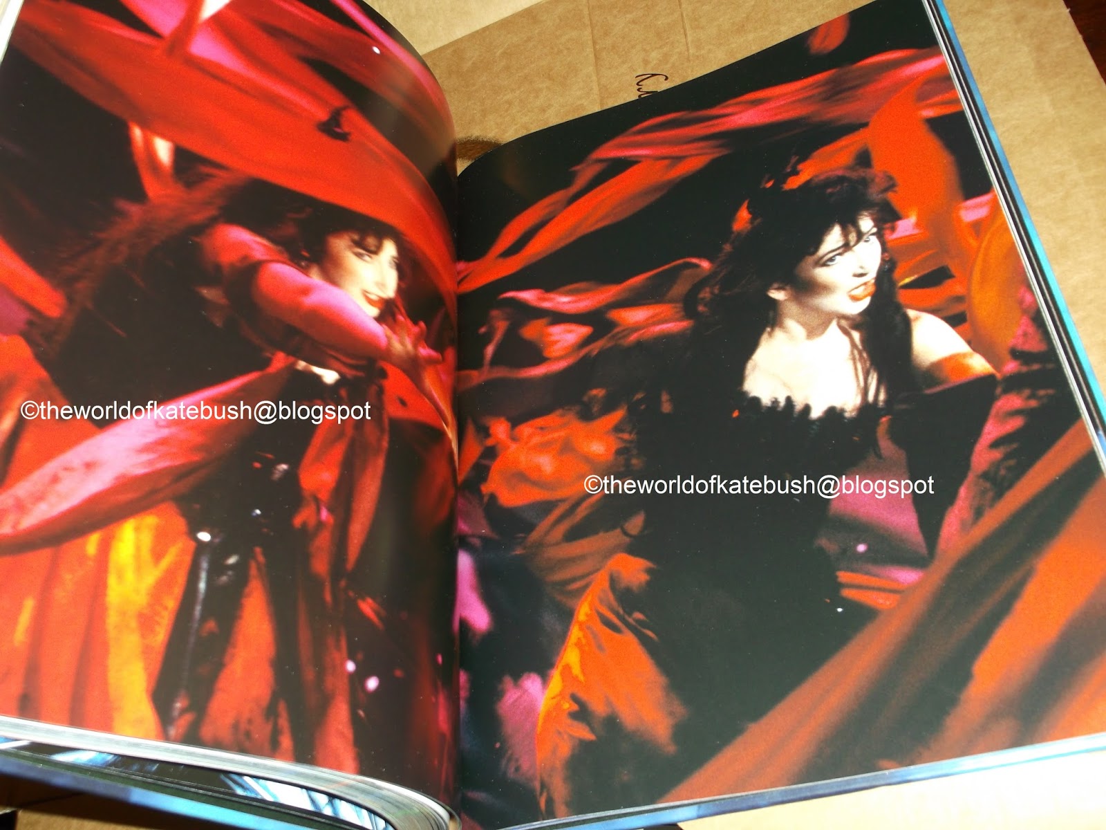 THE WORLD OF KATE BUSH: The Kate Inside: Collector Edition Book by ...