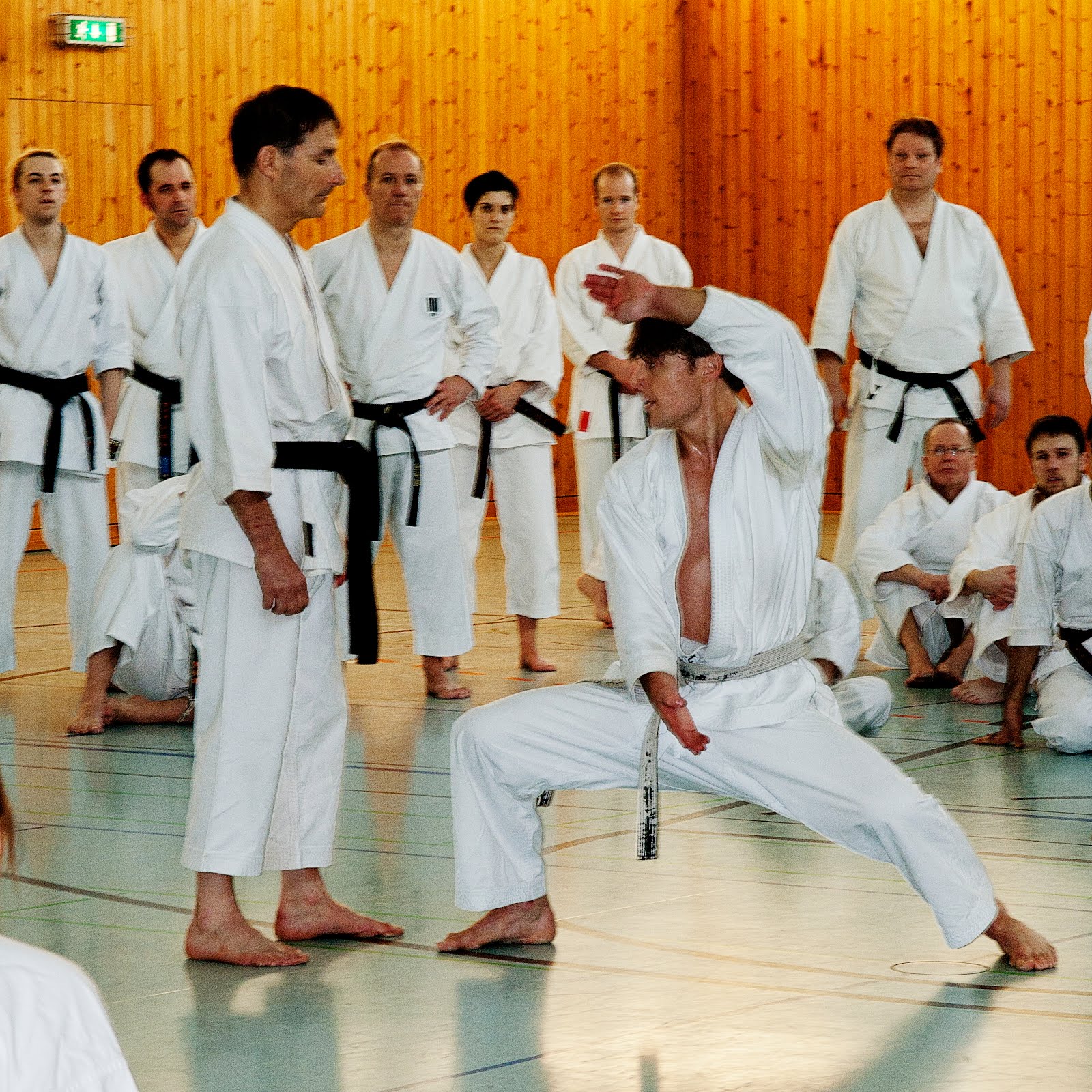 André Bertel's Karate-Do: February 2012