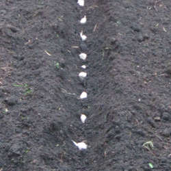 In en om die huis: 2012-03-11