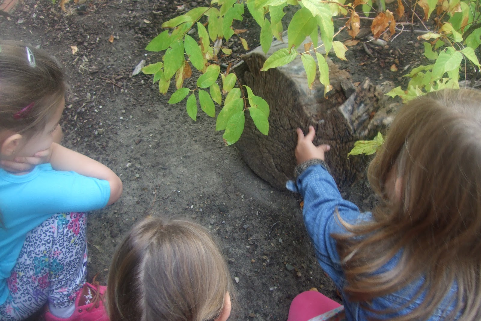 Playful Learning: Snail Hunt